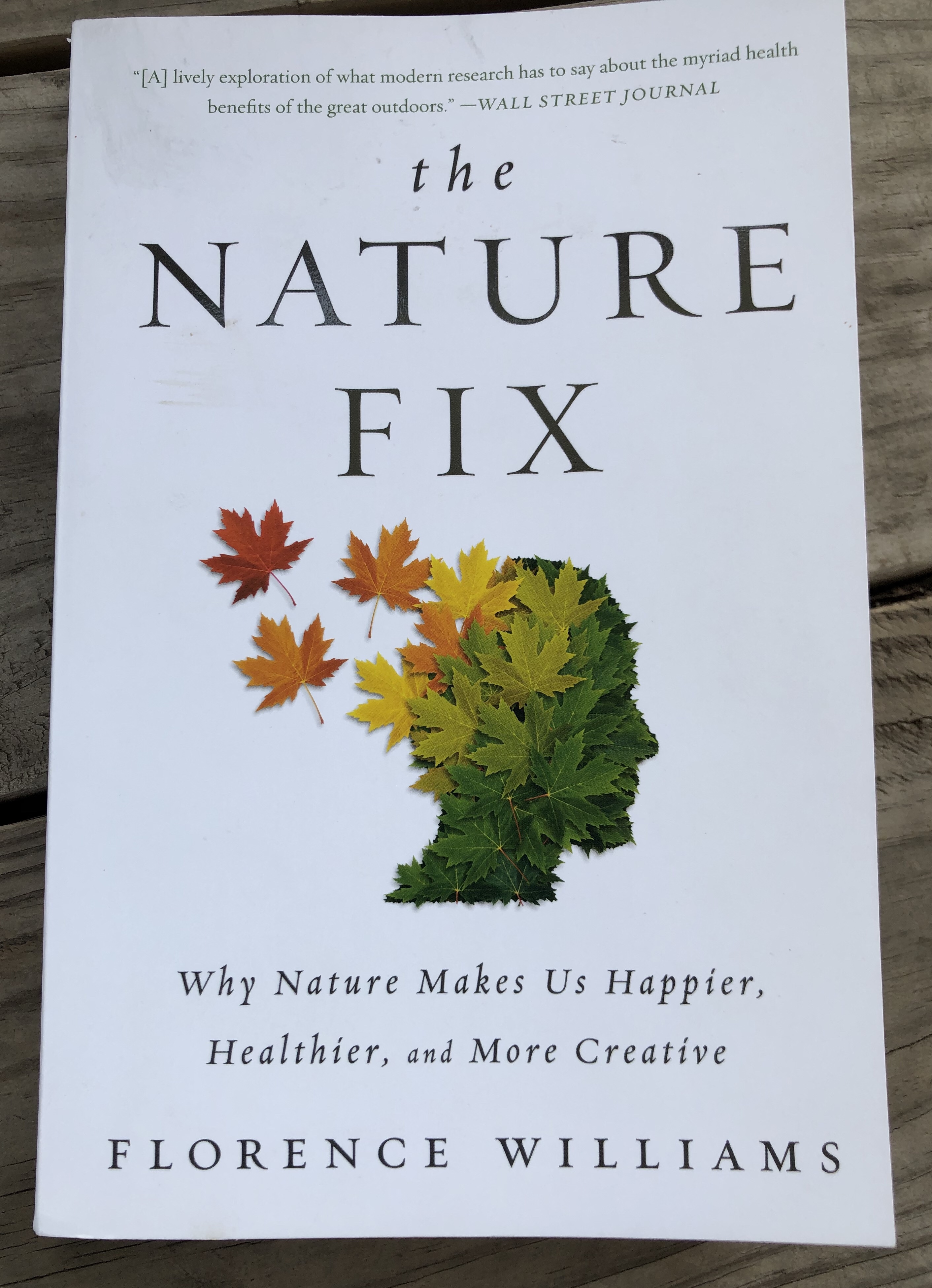 Forests and Well-Being – Notes from “The Nature Fix” | Our Lives In Nature