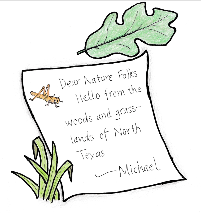 Letters to You | Our Lives In Nature