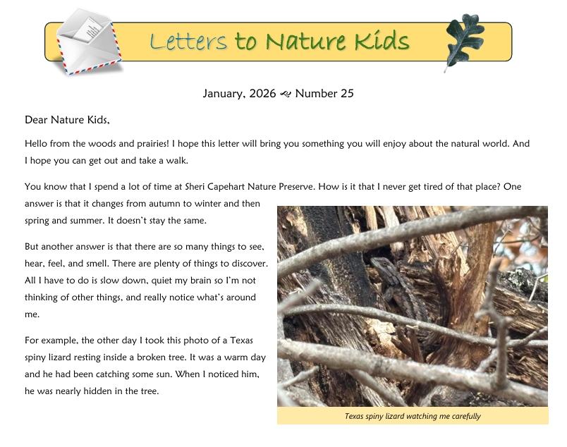 A Letter About Small Things | Our Lives In Nature